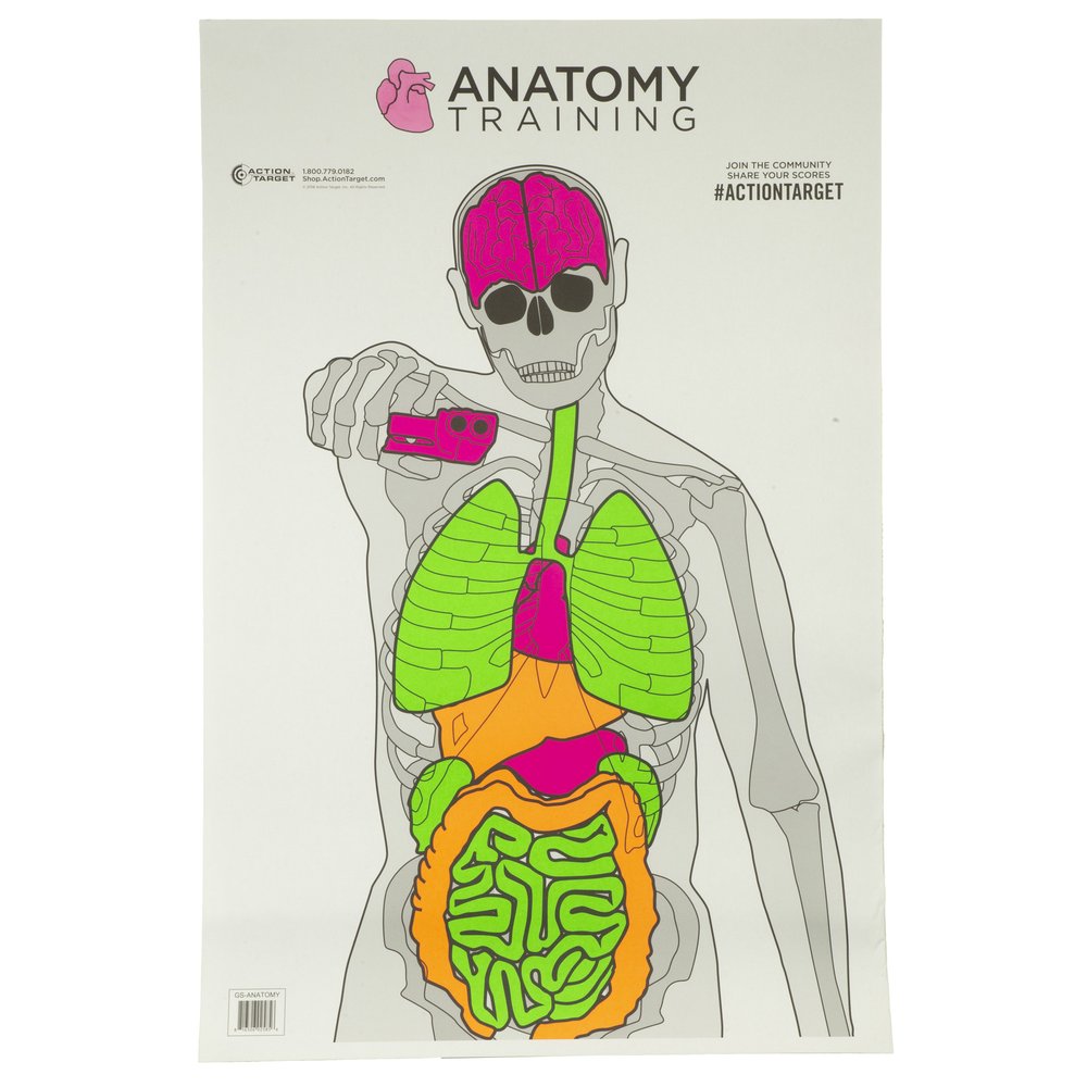 ACTION GS-ANATOMY-100 Anatomy Training Target for Range, Field & EDC ...